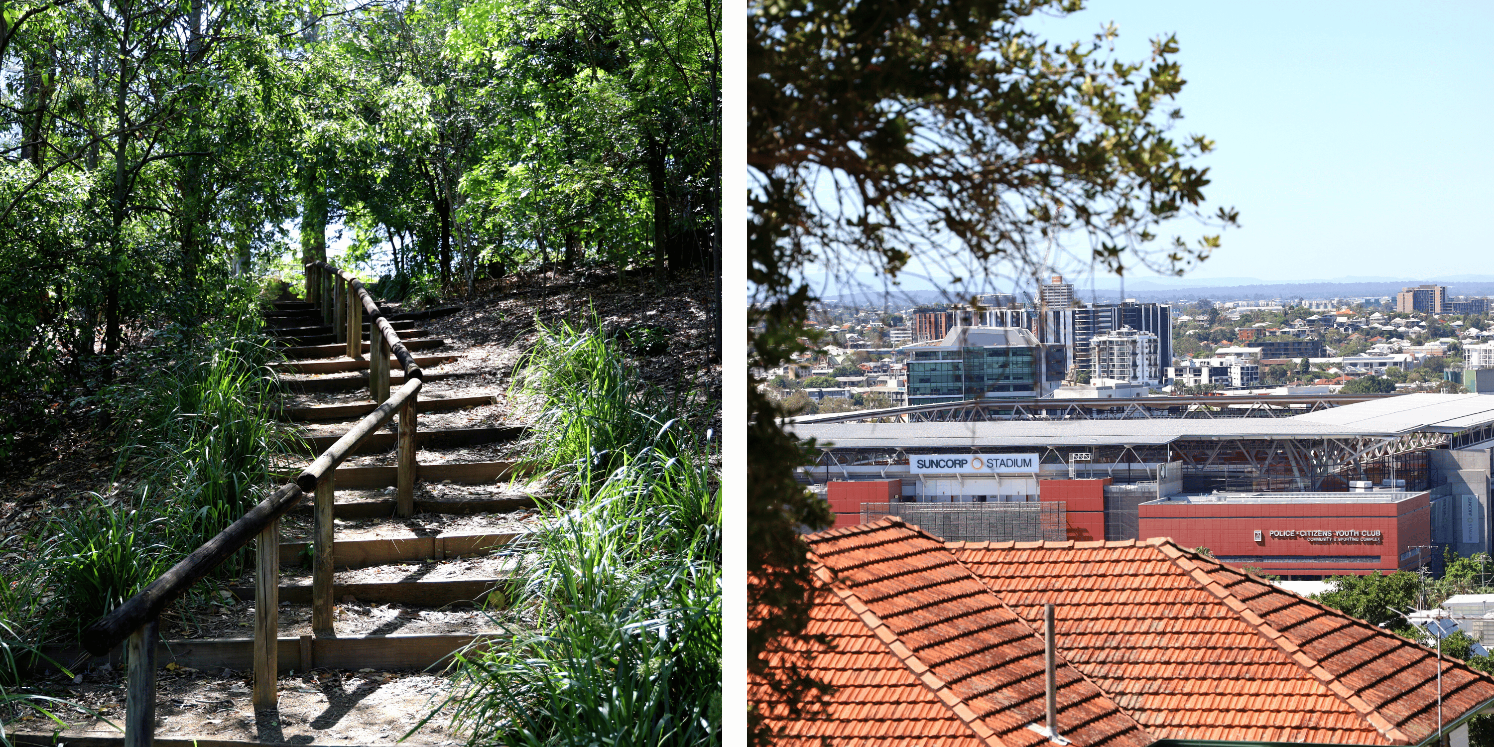 Red Hill Local Guide