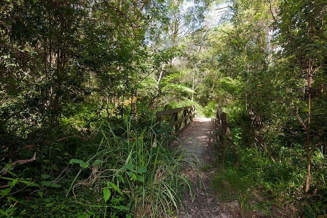 Top 4 Spots To Get Outdoors in Camp Hill