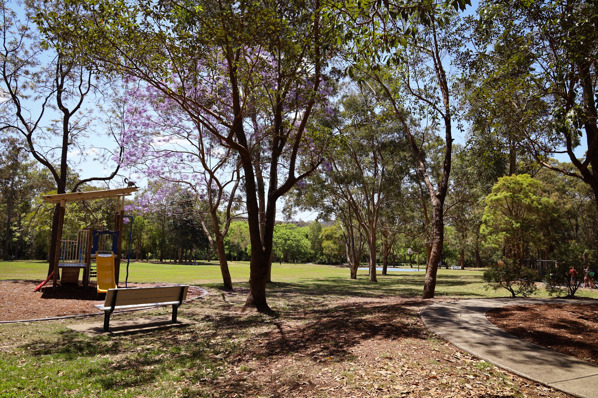 Mansfield Local Guide