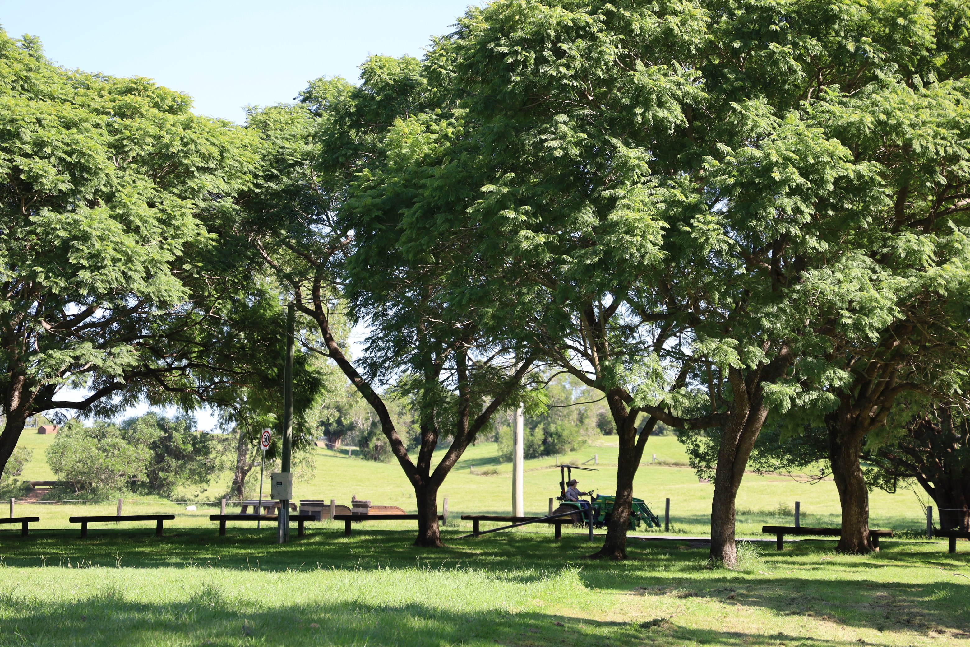 Fig Tree Pocket Local Guide