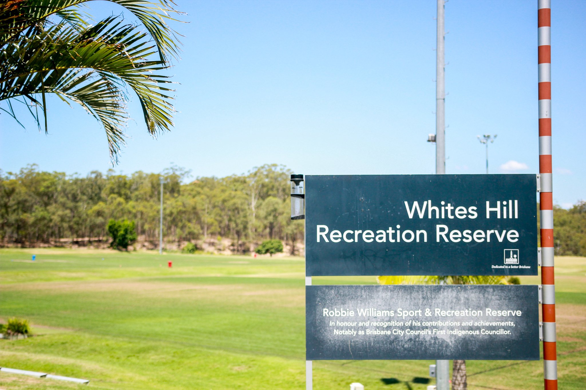 Coorparoo Local Guide