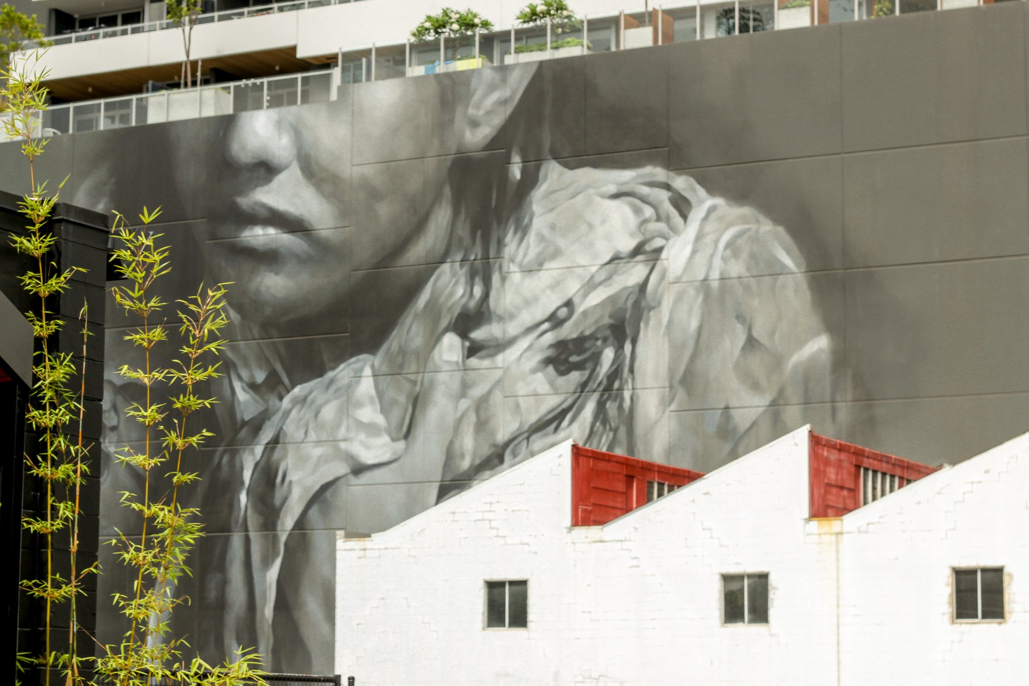 Woolloongabba Local Guide