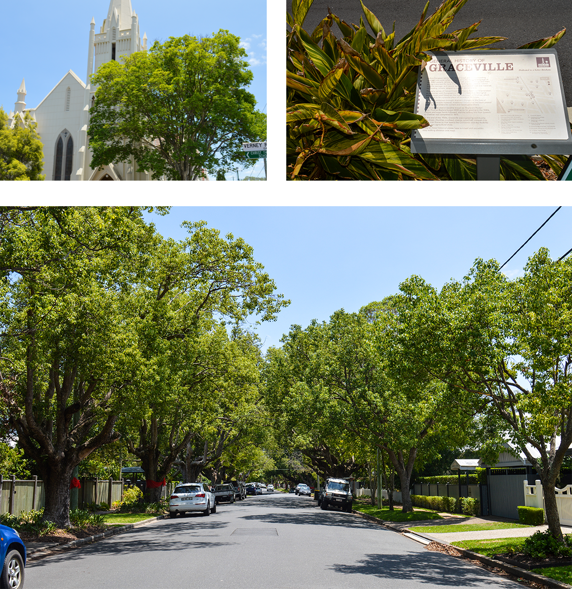 Graceville Local Guide
