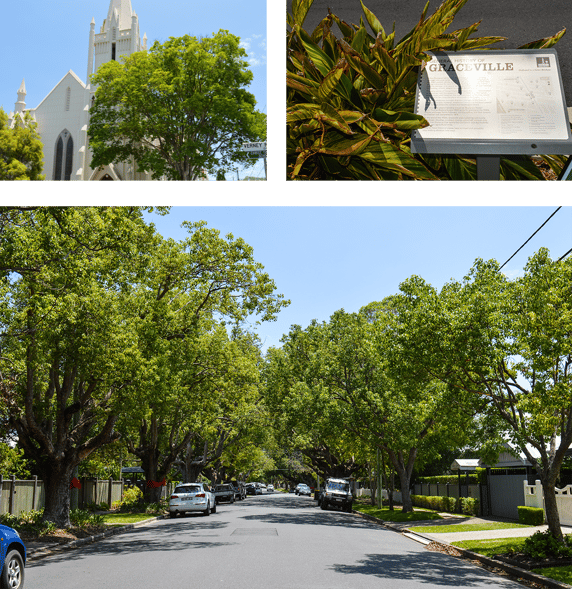 Graceville Local Guide
